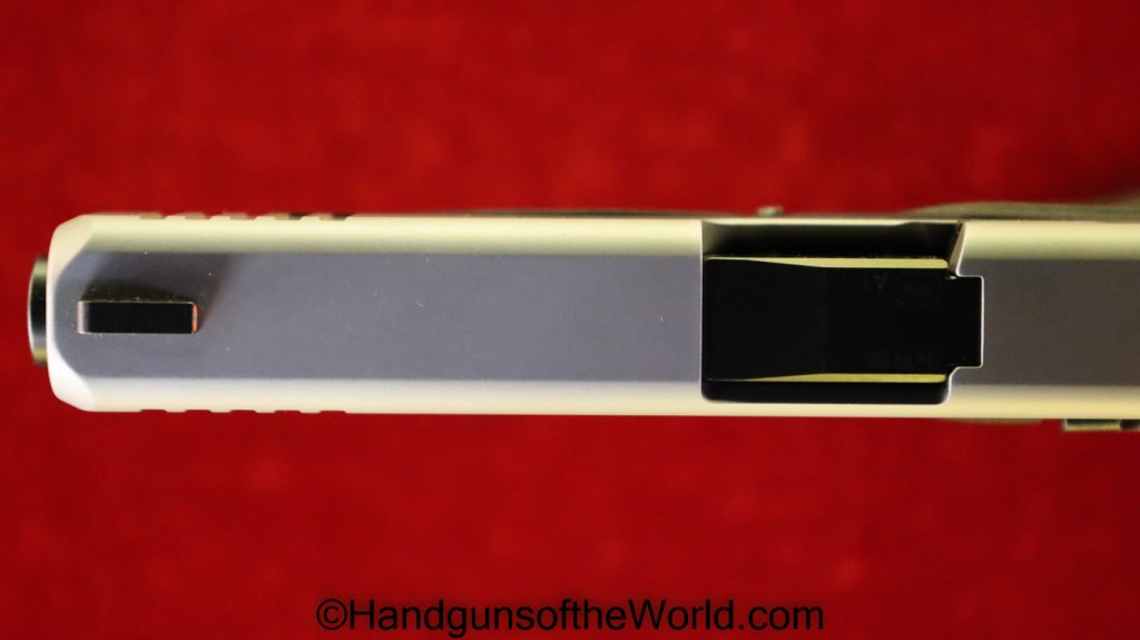 Glock Model 48-9mm-Black & Nickel - Handguns of the World