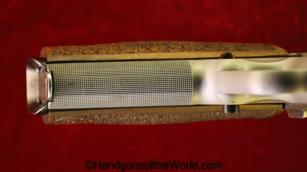 S&W SW 1911, 9mm, Pro Series with Case - Handguns of the World