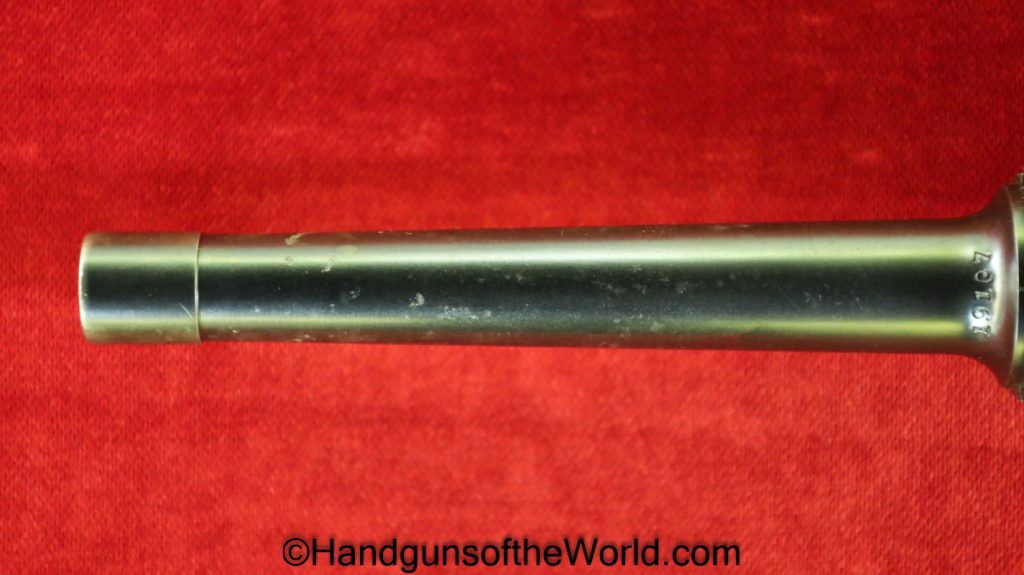 Luger DWM 1900 American Eagle, .30 caliber - Handguns of the World