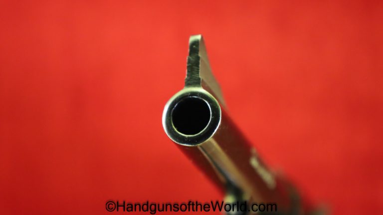 Rossi Model 31, .38 Special Revolver with Case - Handguns of the World